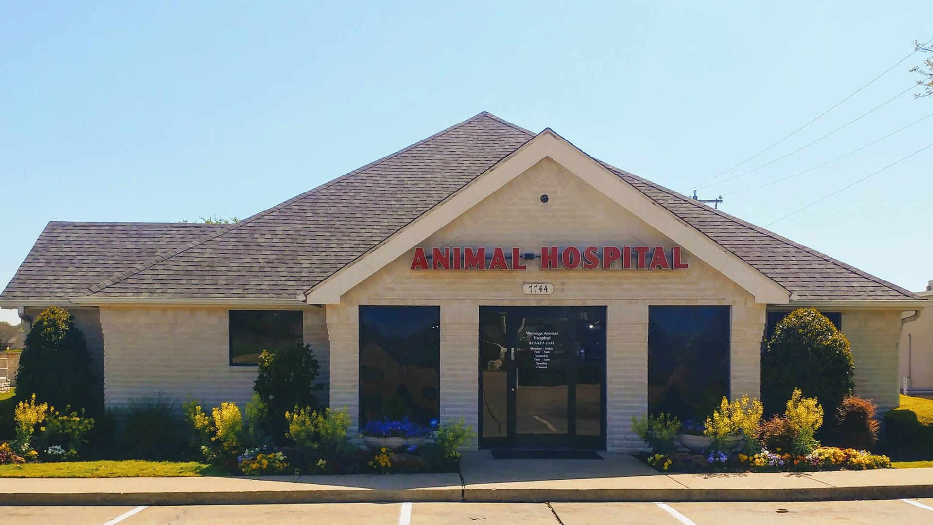 Best Vet Hospital In Watauga, TX | Watauga Animal Hospital