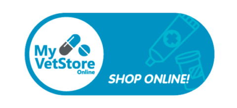 Best Vet Hospital In Watauga, TX | Watauga Animal Hospital